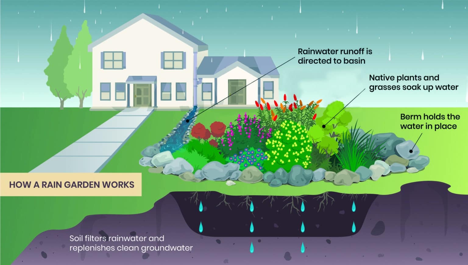 The Benefits of Building Your Own Rain Garden – Lakeway Municipal ...